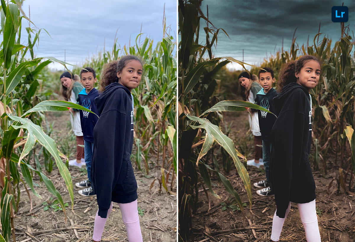 Corn amaze | Edit | Photoshop Lightroom