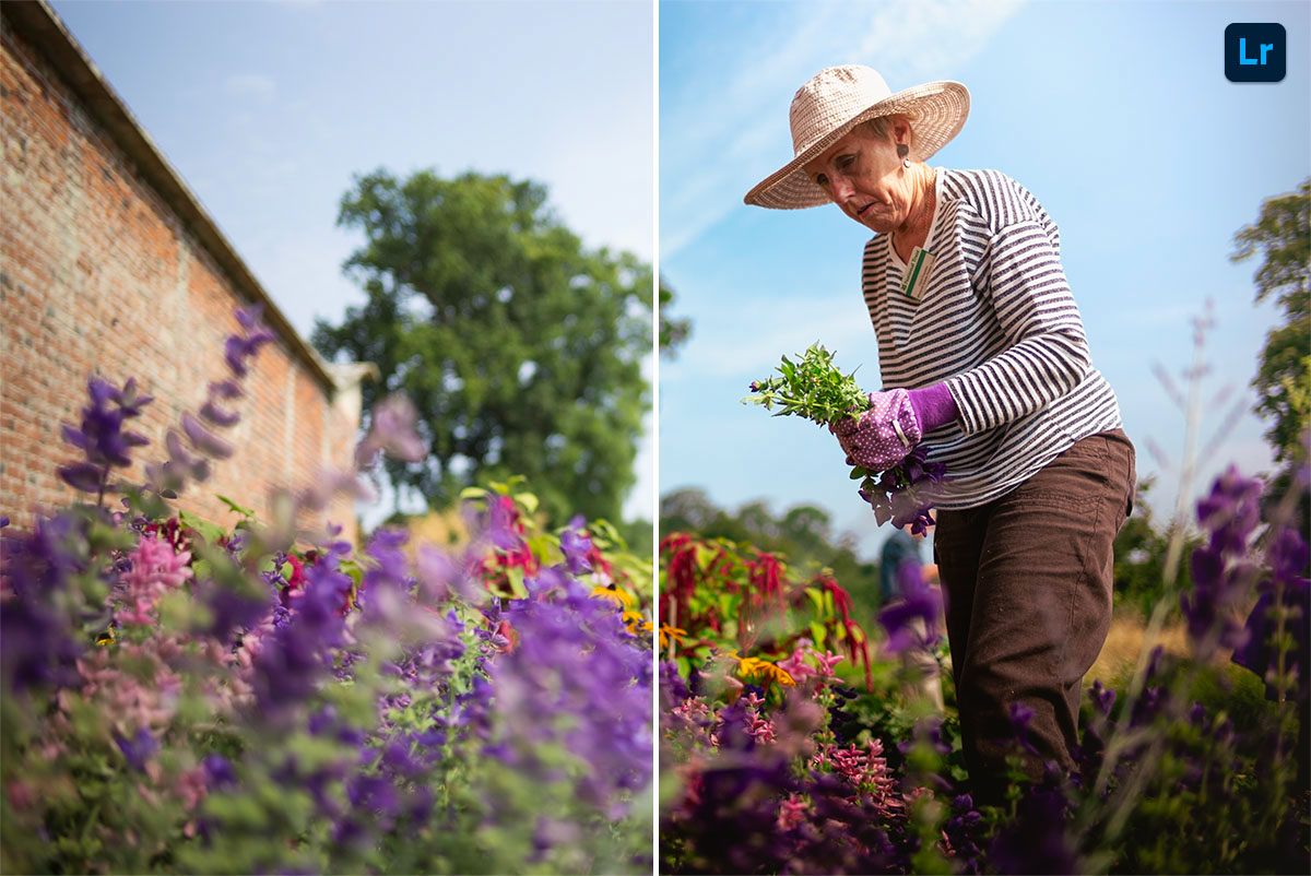 Flower picker | Remix | Photoshop Lightroom