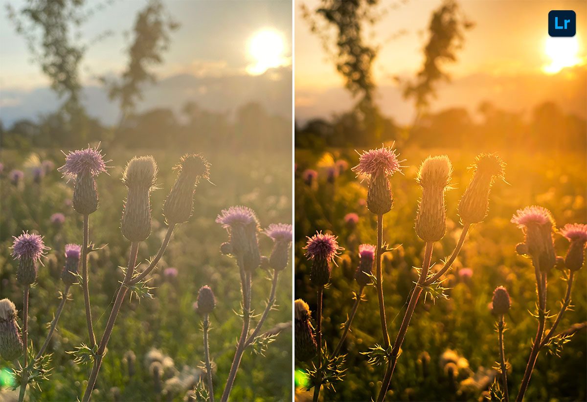Golden hour | Edit | Photoshop Lightroom