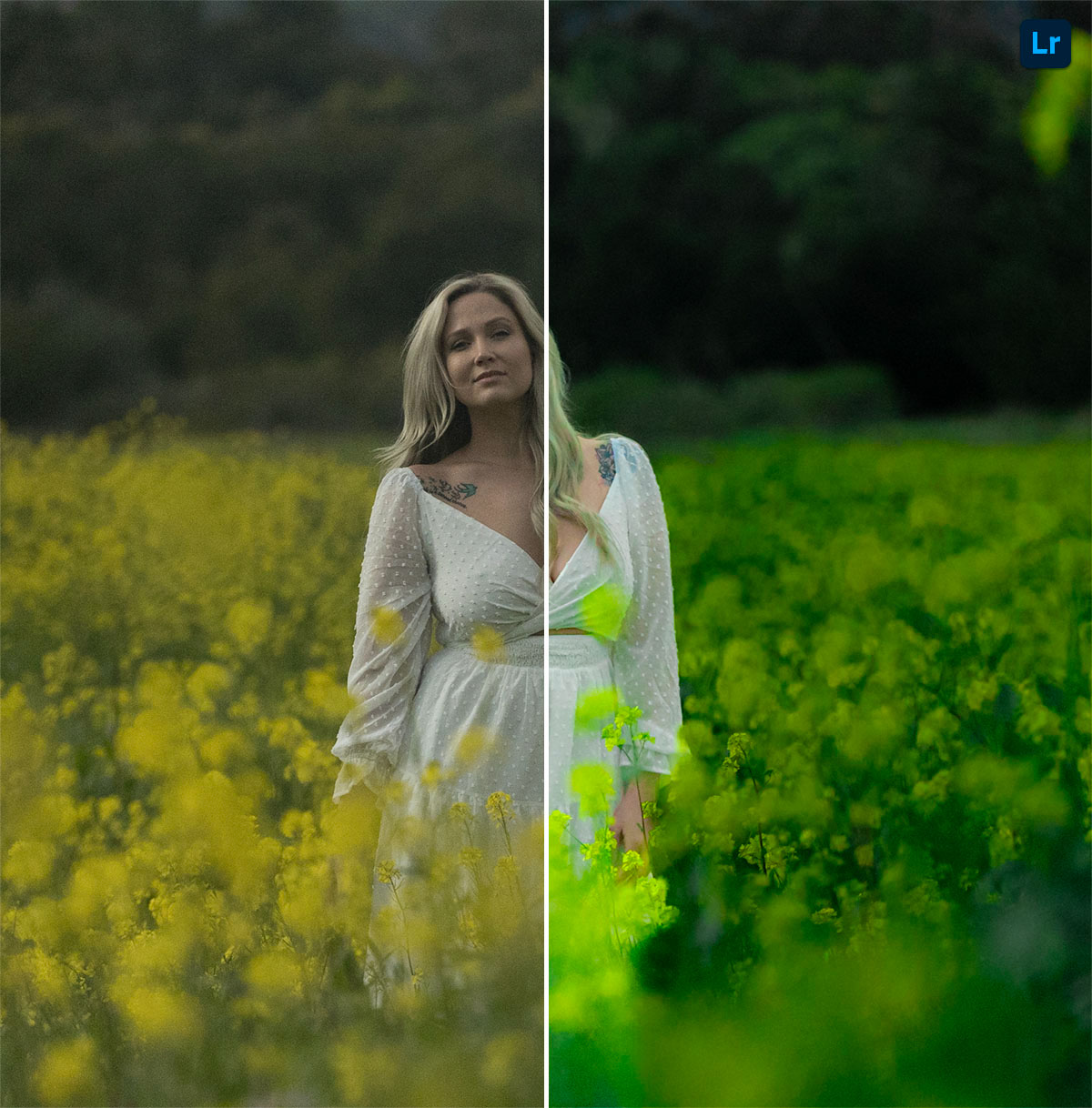 Meadow | Remix | Photoshop Lightroom