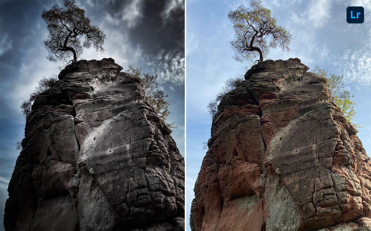 This tree rocks! | Edit | Photoshop Lightroom