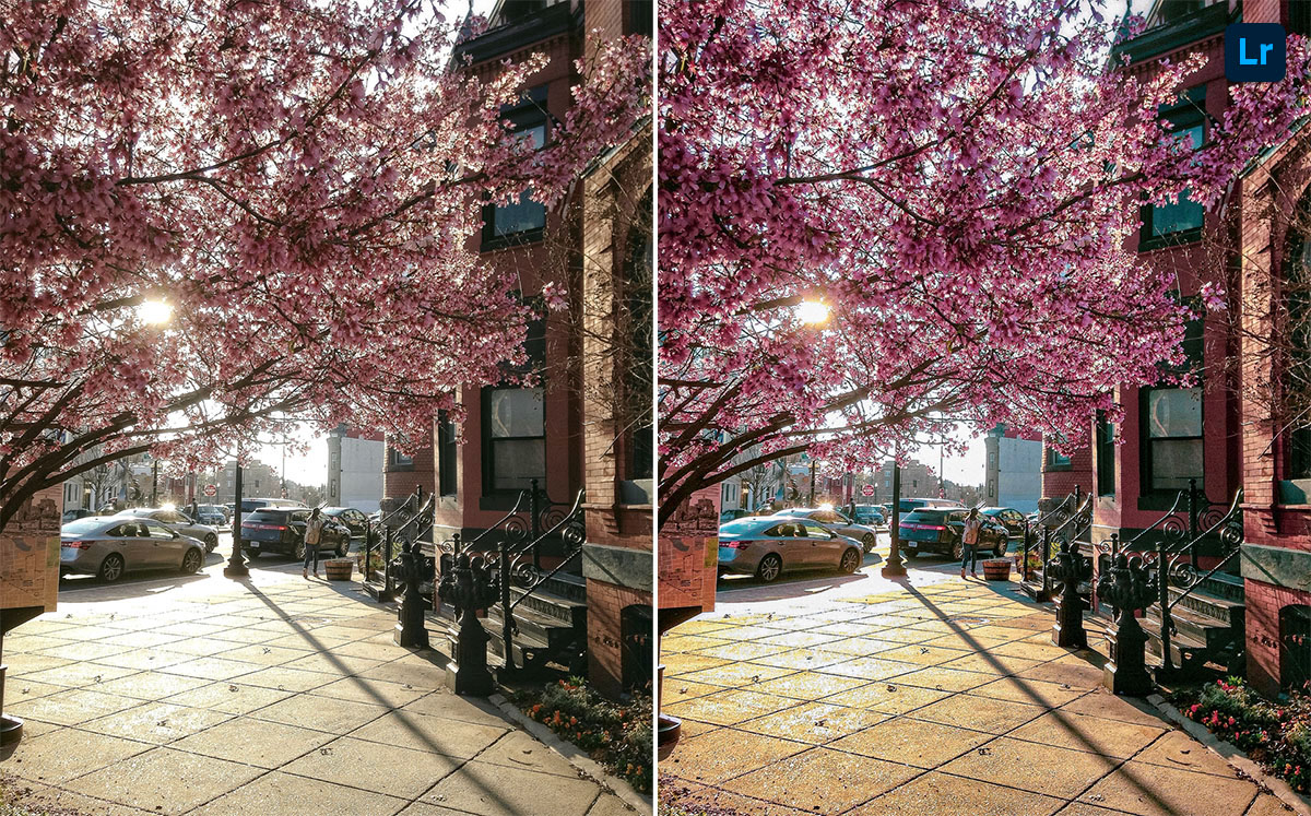 p4 | Edit | Photoshop Lightroom