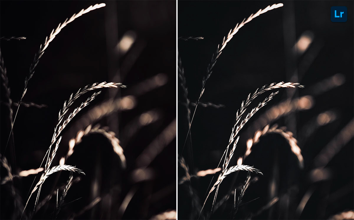 fancy | Edit | Photoshop Lightroom