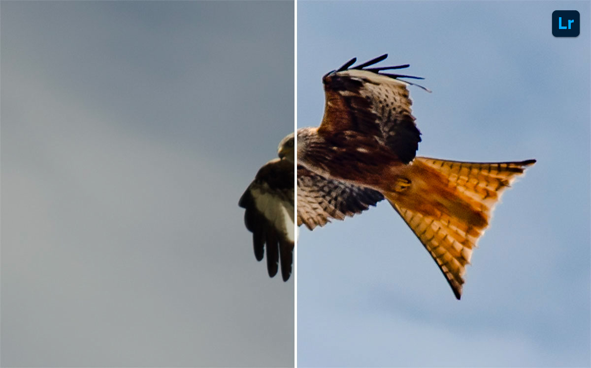 Milan | Edit | Photoshop Lightroom