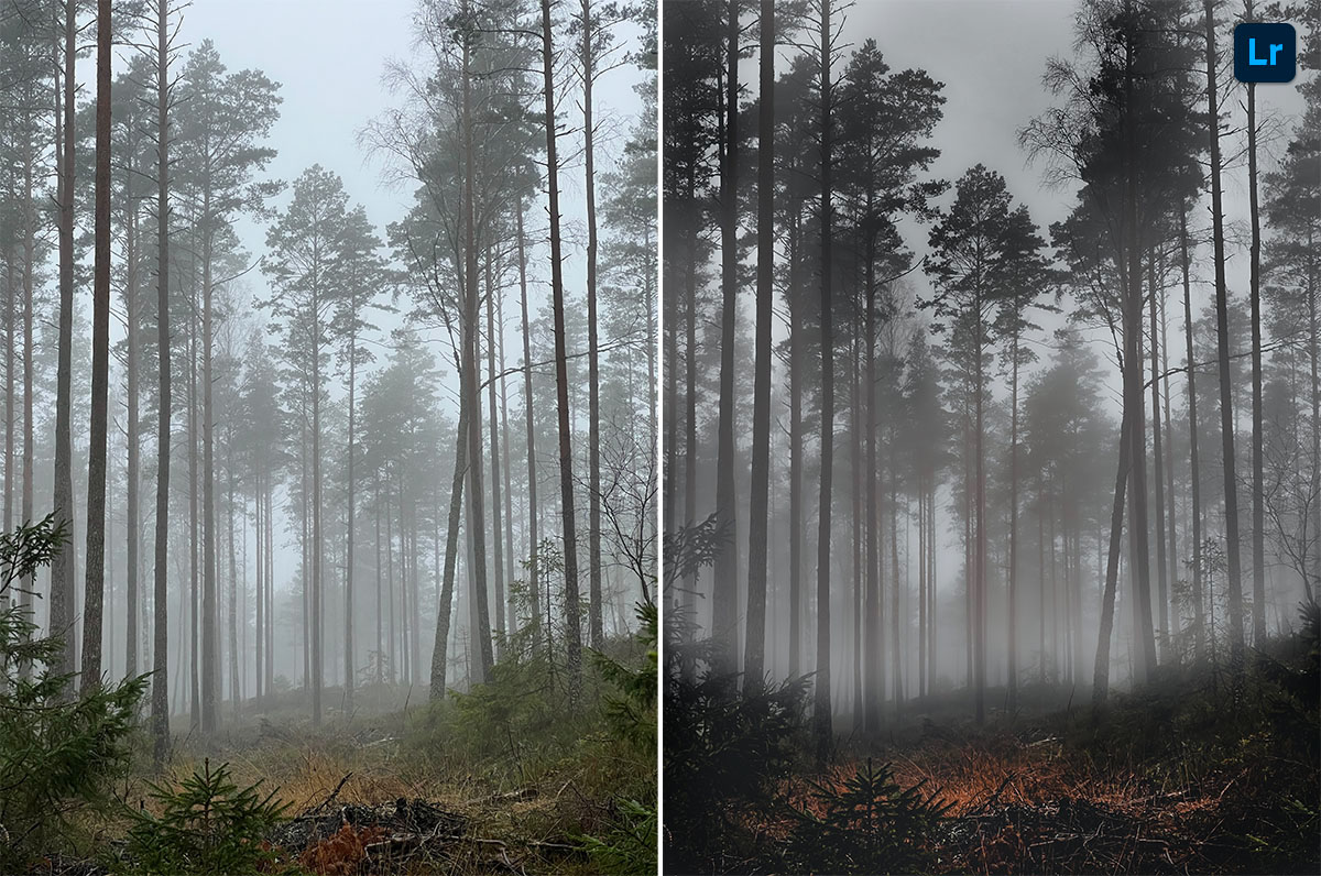 Faded colors (dark) | Edit | Photoshop Lightroom