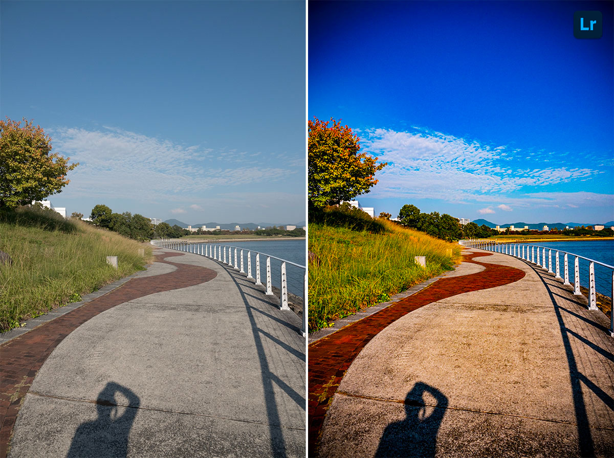 park | Edit | Photoshop Lightroom