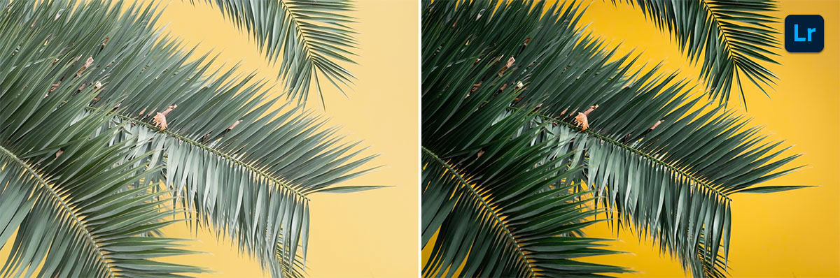 Colors | Remix | Photoshop Lightroom