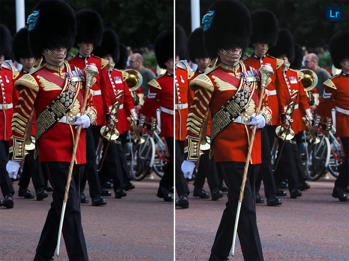 Royal guard | Remix | Photoshop Lightroom