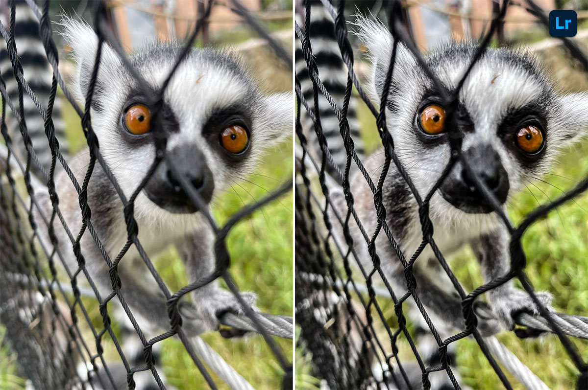 Cute | Remix | Photoshop Lightroom