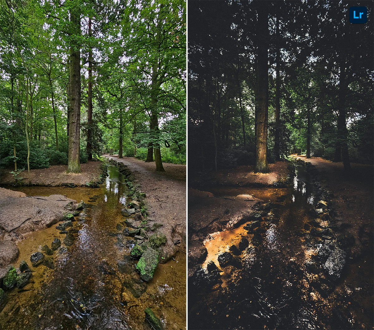 Woodlands and rivers | Edit | Photoshop Lightroom
