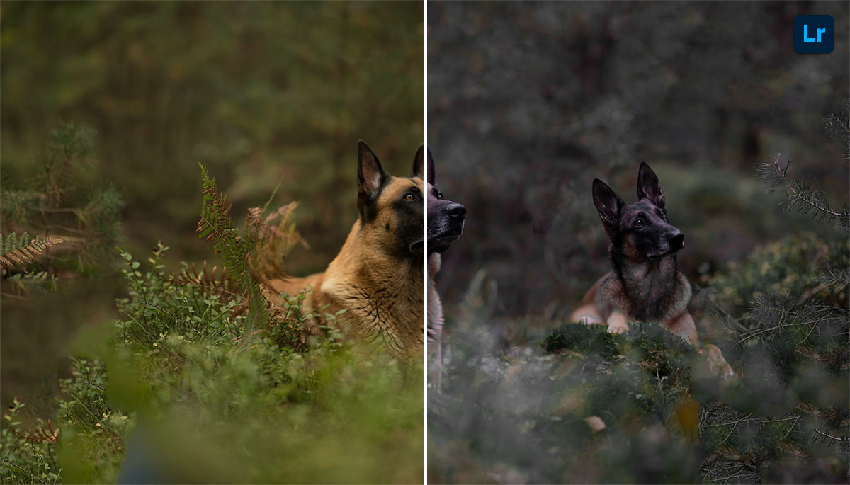 Ghost & Kaya | Remix | Photoshop Lightroom