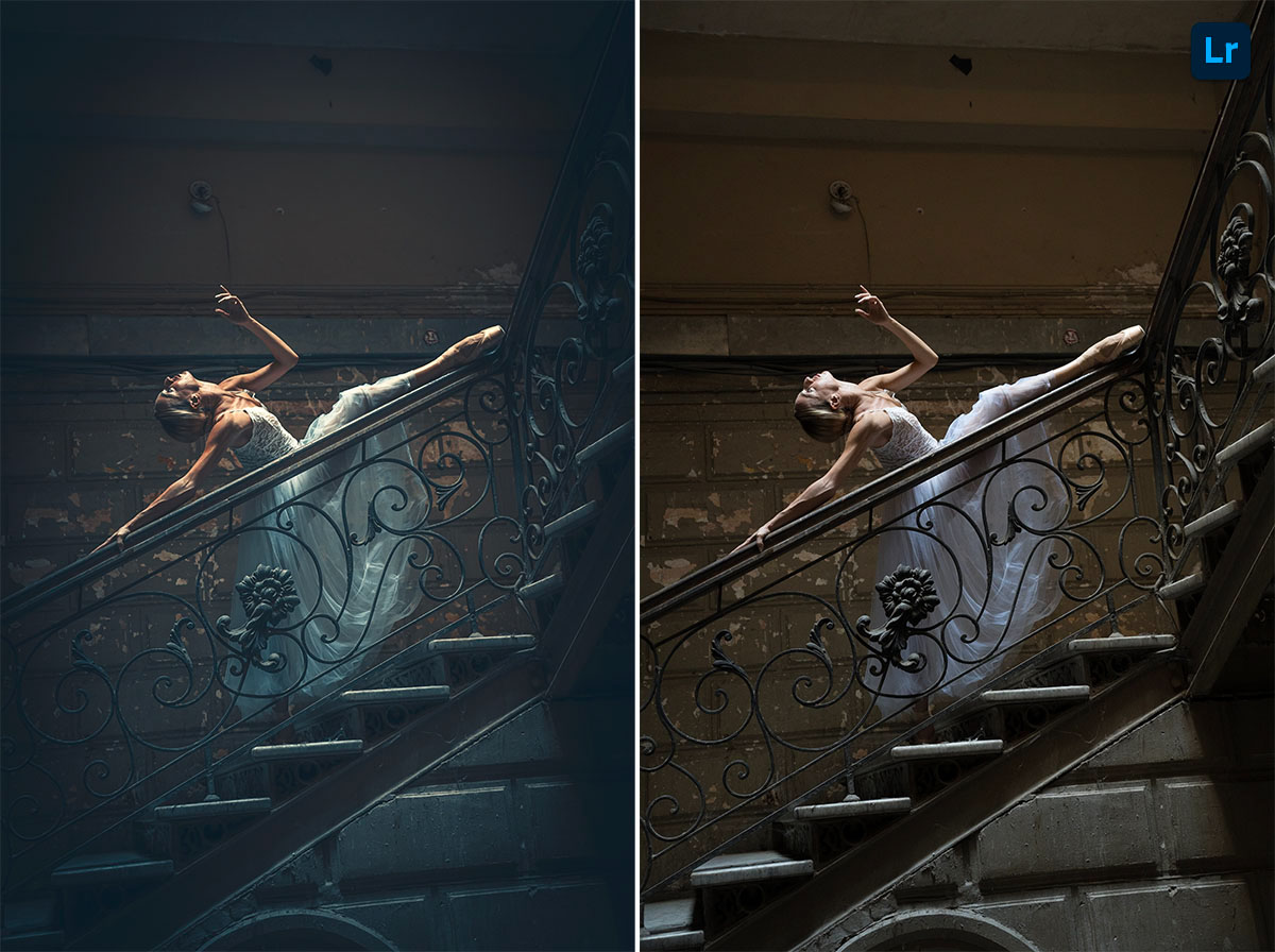 Climbing up the swan | Edit | Photoshop Lightroom