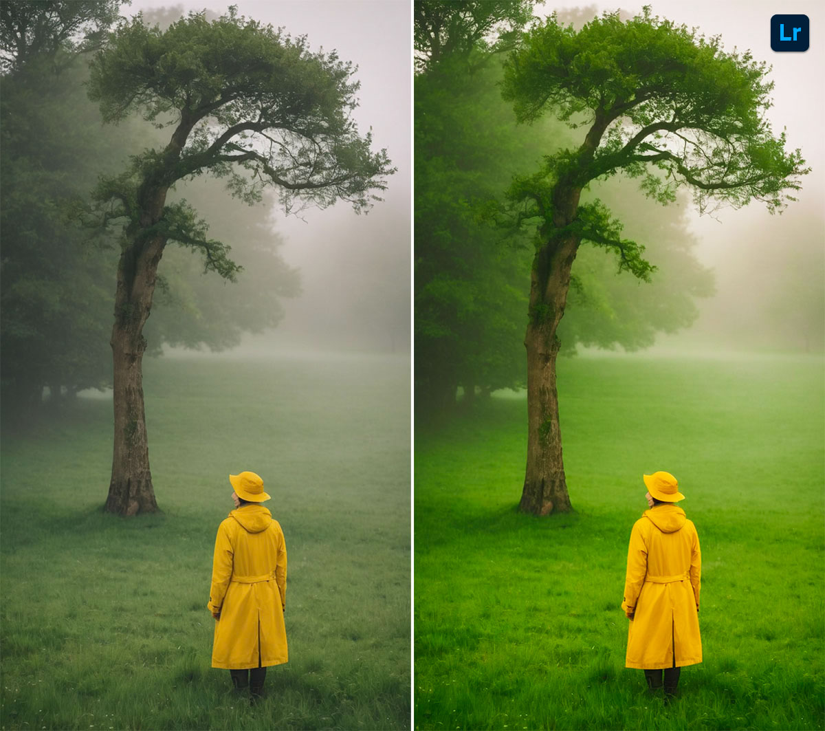 Dream view | Remix | Photoshop Lightroom