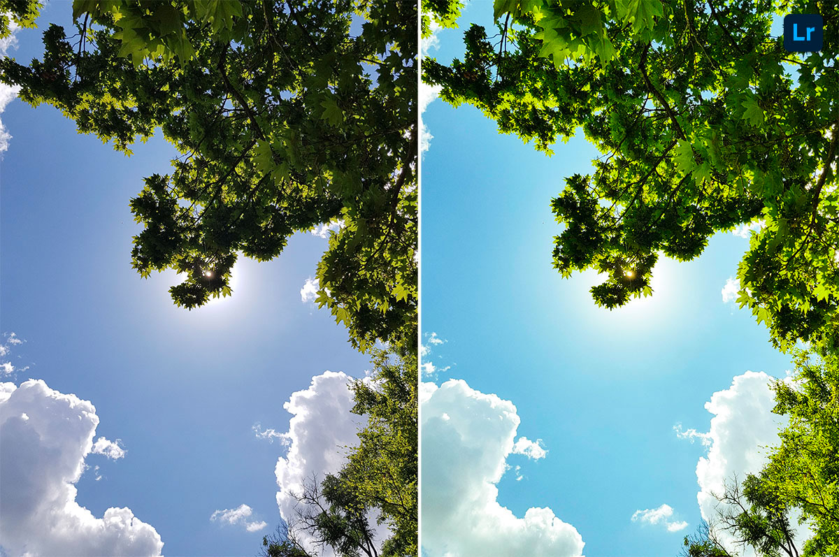 Sun Tree | Remix | Photoshop Lightroom