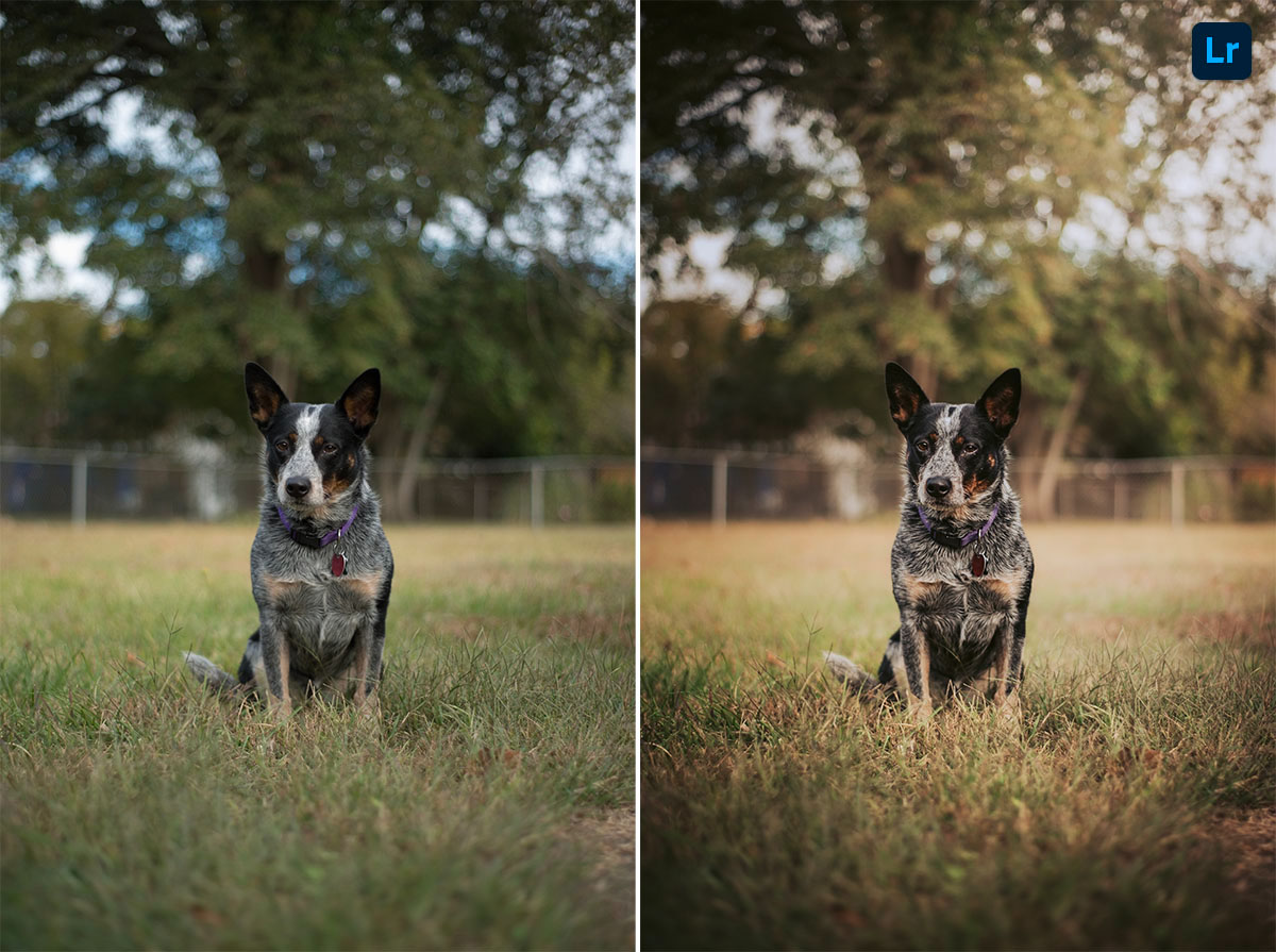 Valkyrie | Edit | Photoshop Lightroom