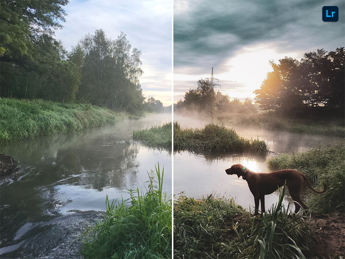 Morning walk | Edit | Photoshop Lightroom