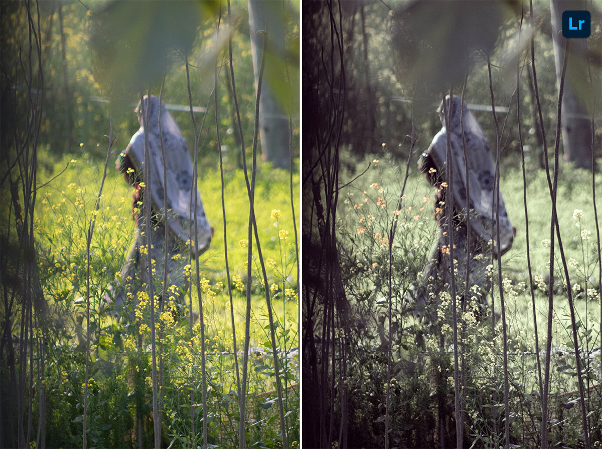 shadows | Edit | Photoshop Lightroom