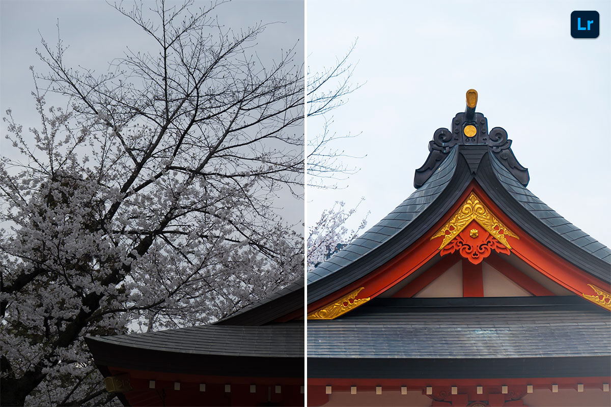 Japanese Combo | Edit | Photoshop Lightroom