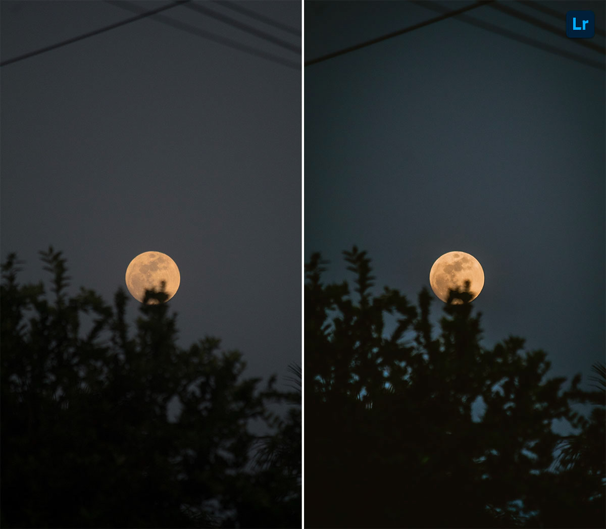 Lua | Remix | Photoshop Lightroom