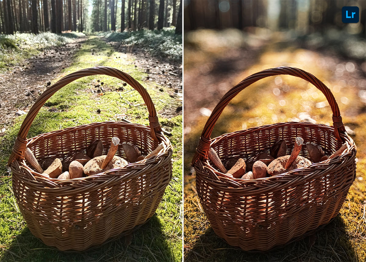 Autumn | Edit | Photoshop Lightroom