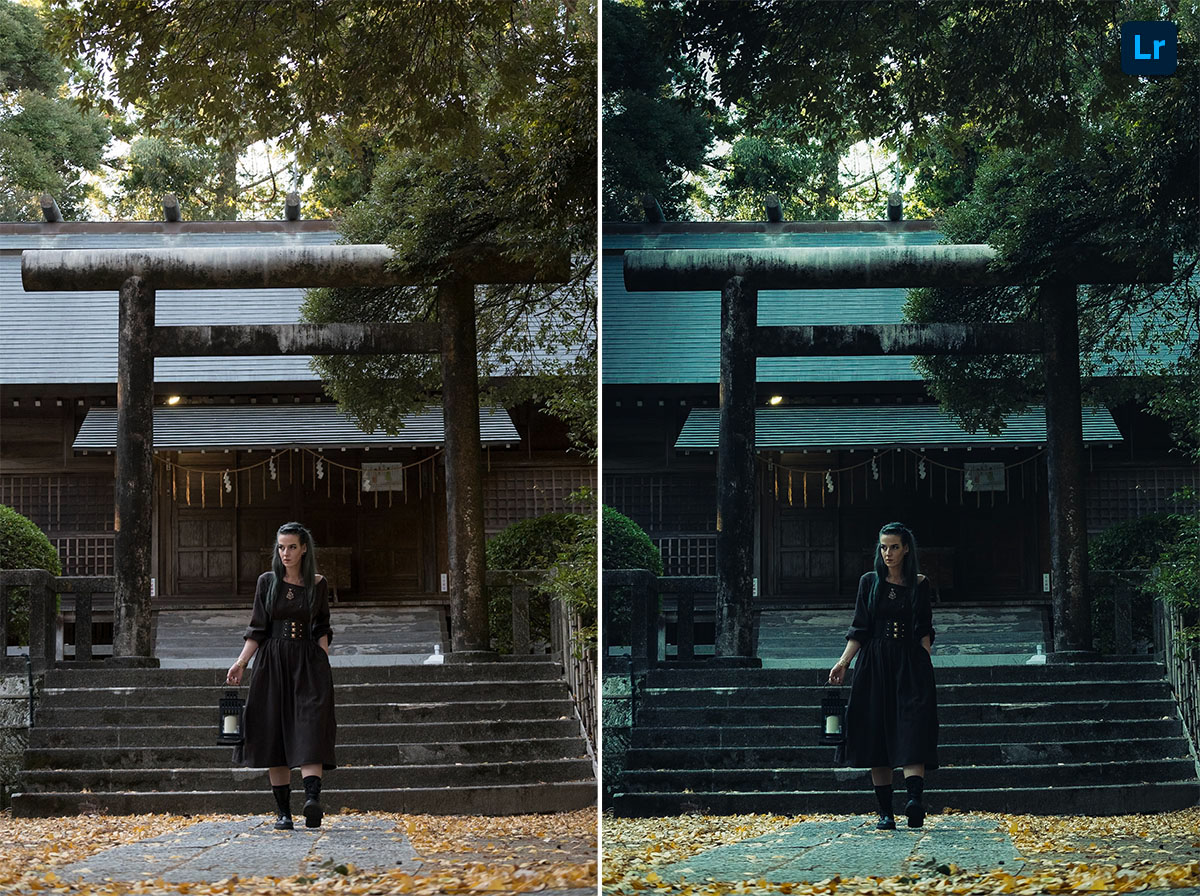 Dm | Remix | Photoshop Lightroom