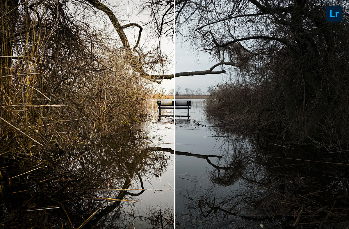 Reflecting | Edit | Photoshop Lightroom