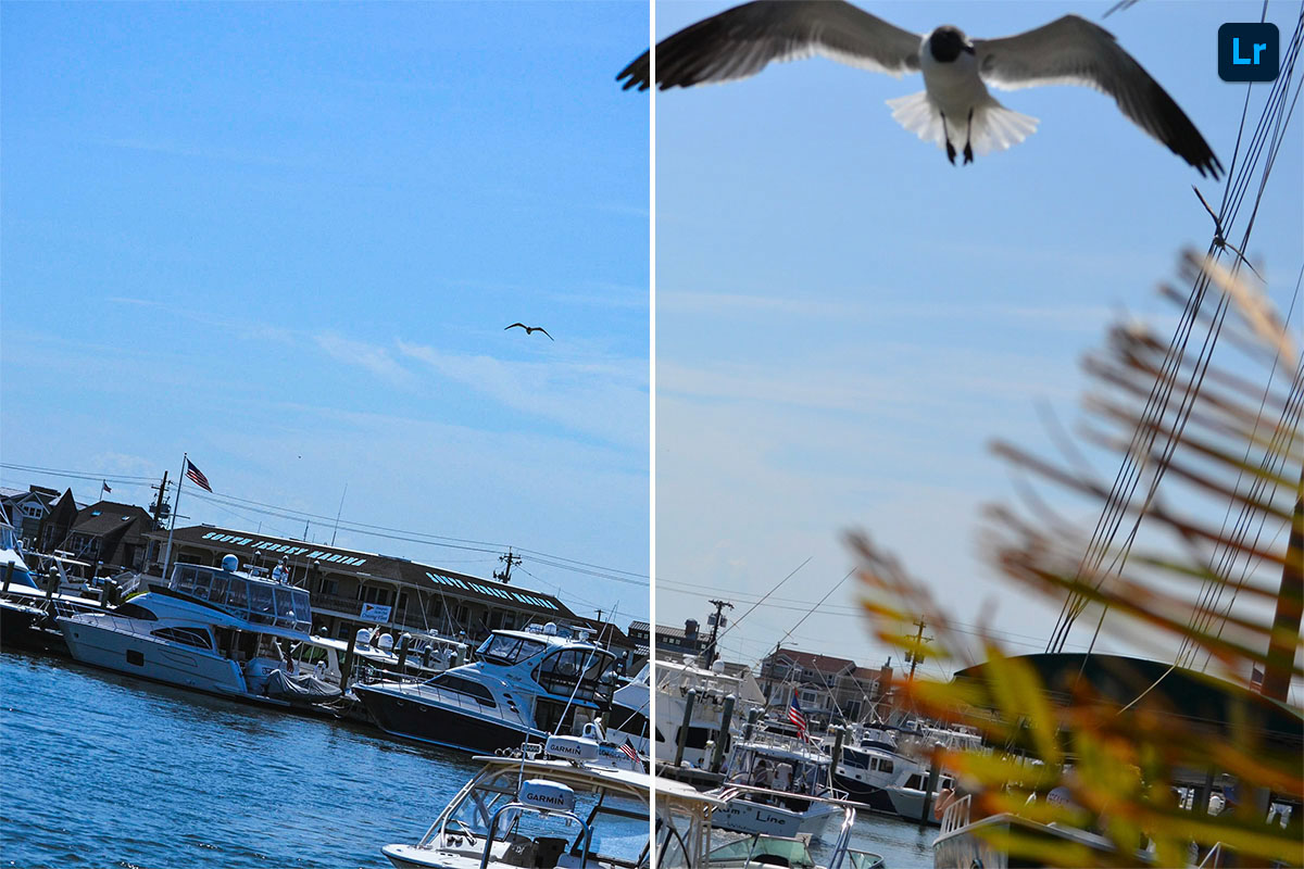 View | Edit | Photoshop Lightroom