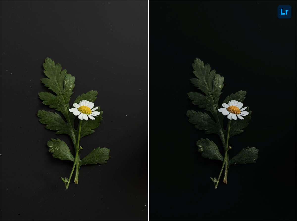 minimal | Edit | Photoshop Lightroom