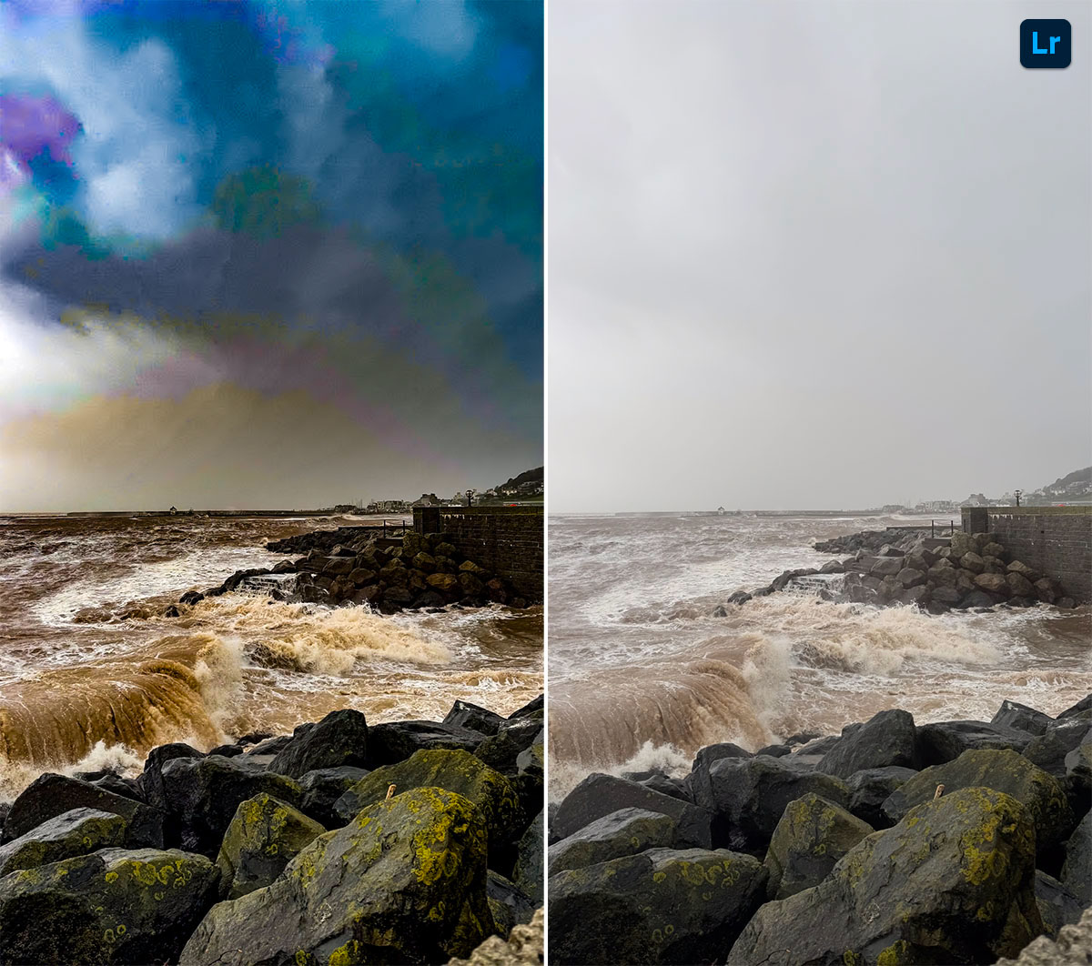 Storm Bert | Remix | Photoshop Lightroom