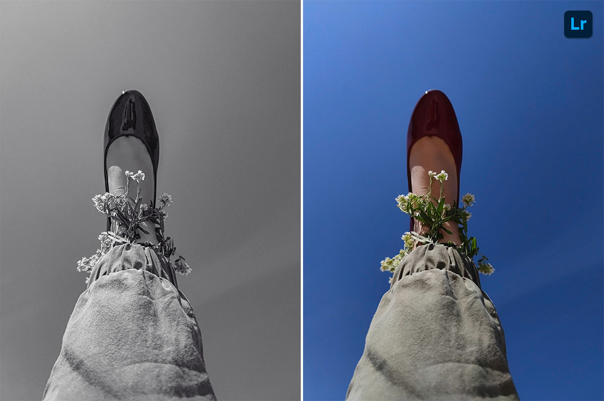 Red | Remix | Photoshop Lightroom