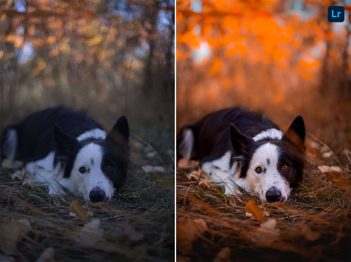 Riptide | Edit | Photoshop Lightroom