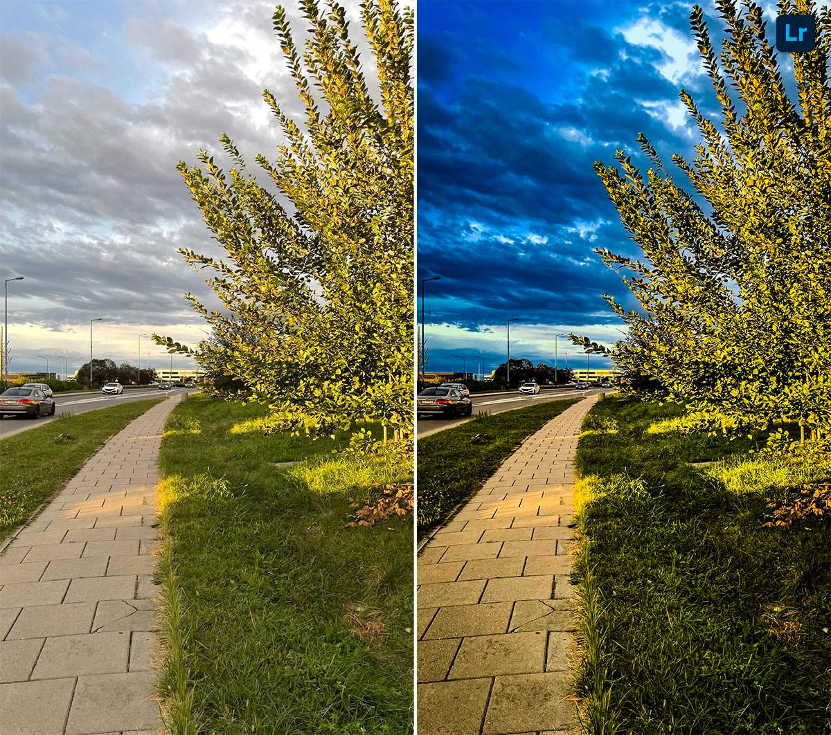 Evening walk | Edit | Photoshop Lightroom