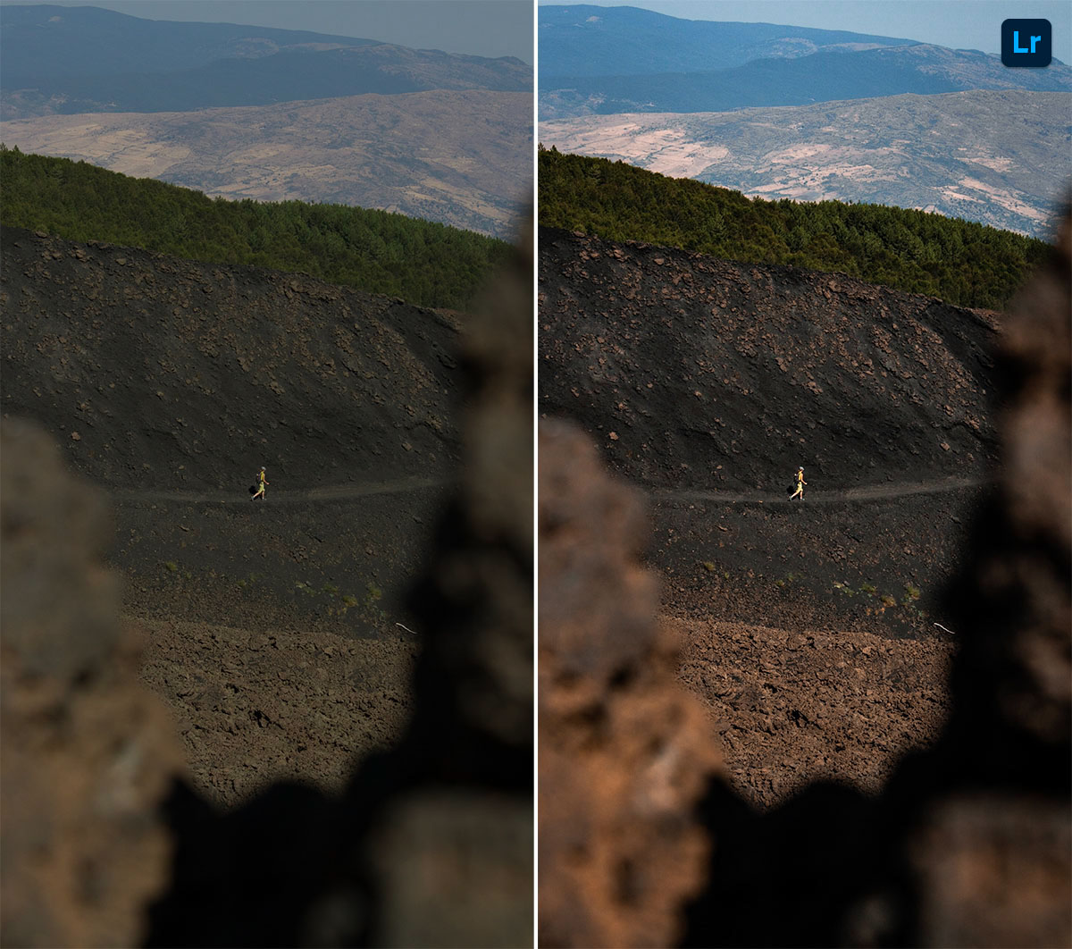 Tiny | Edit | Photoshop Lightroom