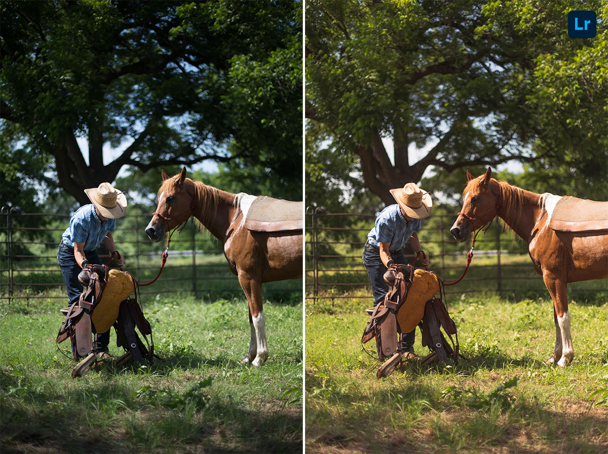 Cowboy | Edit | Photoshop Lightroom