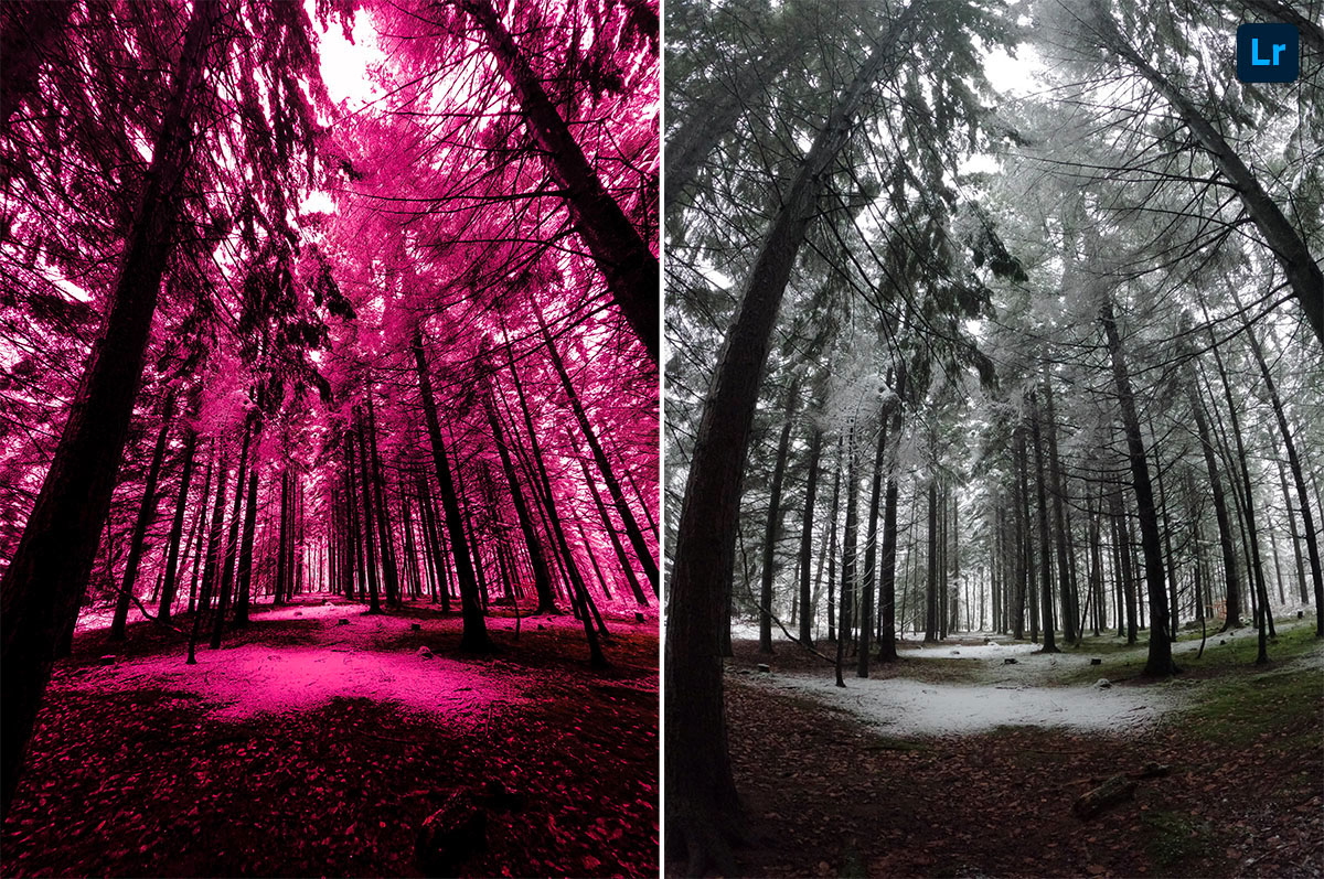 Winter Forest -Ken | Remix | Photoshop Lightroom Winter Forest -Ken | Remix | Photoshop Lightroom
