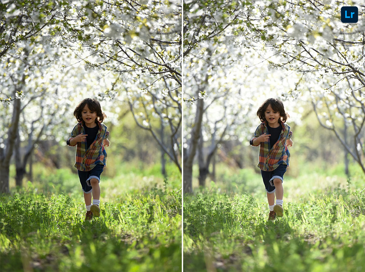 Gray Fields | Remix | Photoshop Lightroom