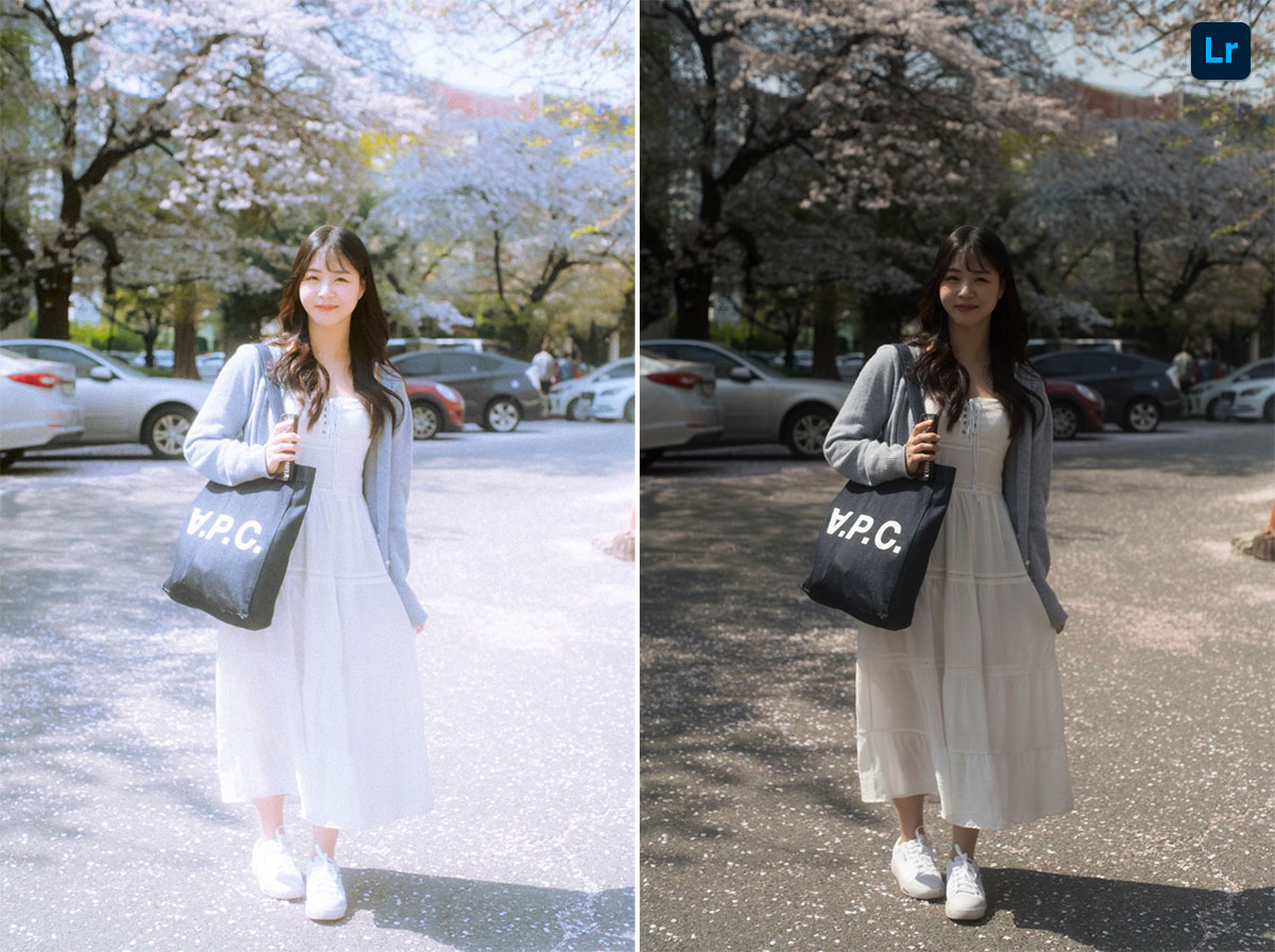 cassis_snap(old lenz+mist filter) | Edit | Photoshop Lightroom