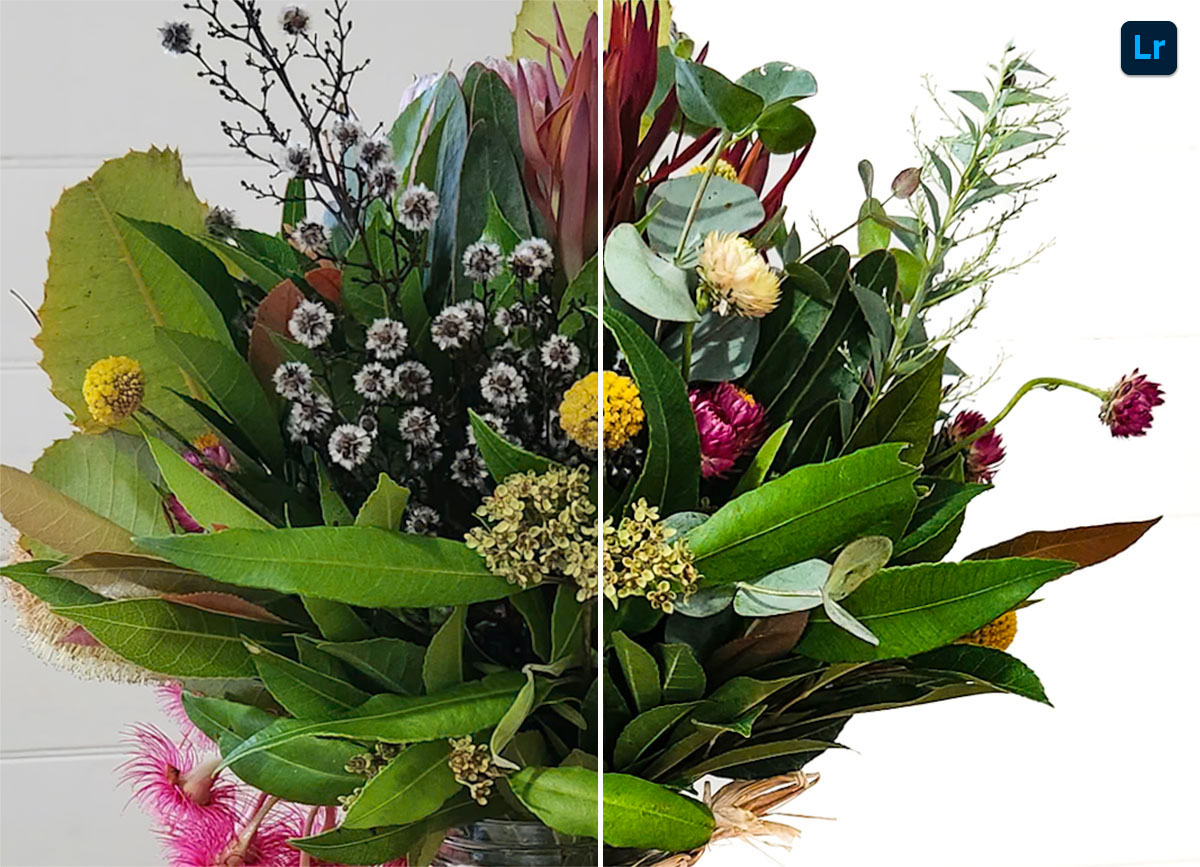 Native flowers | Edit | Photoshop Lightroom