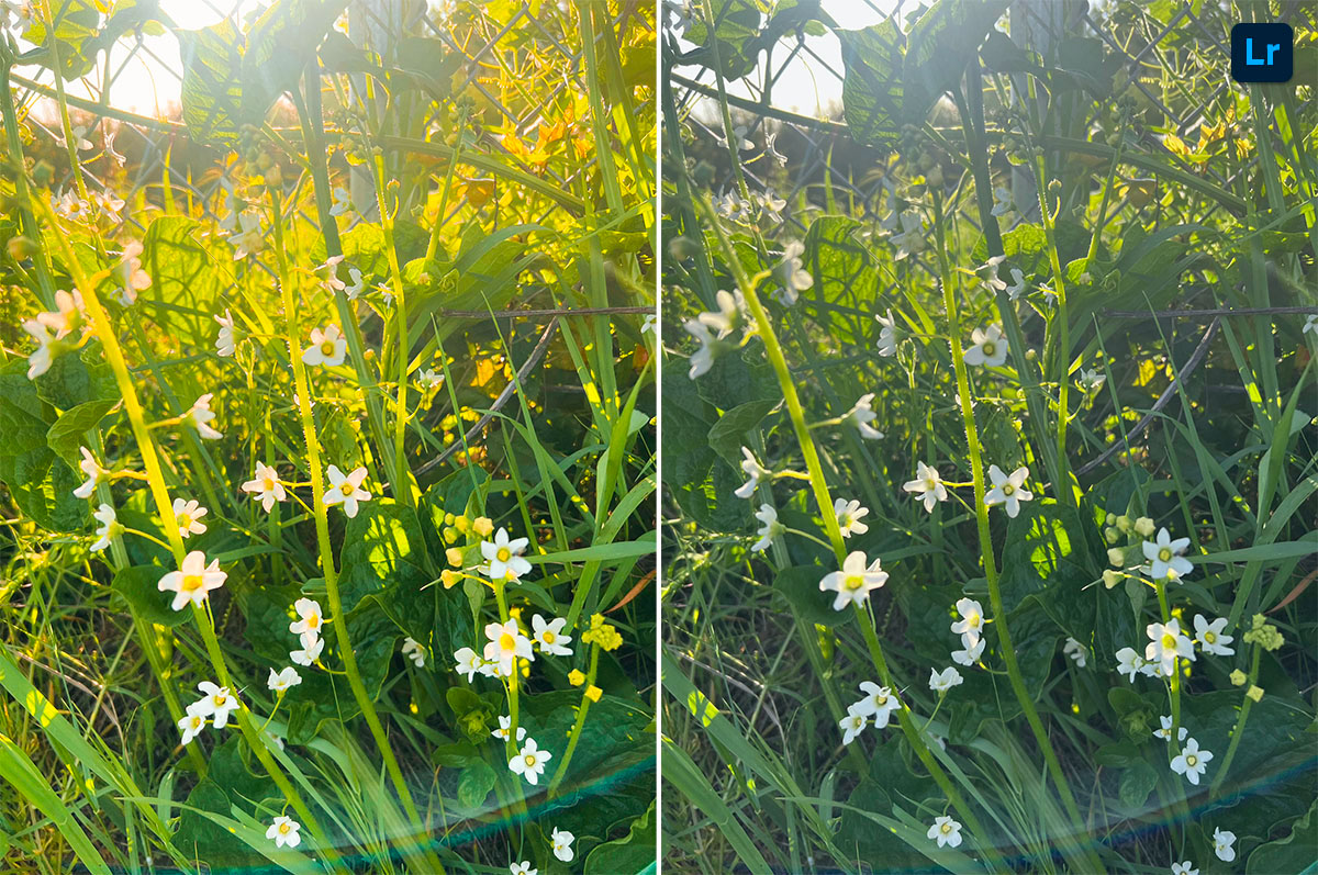 Beautiful views | Edit | Photoshop Lightroom