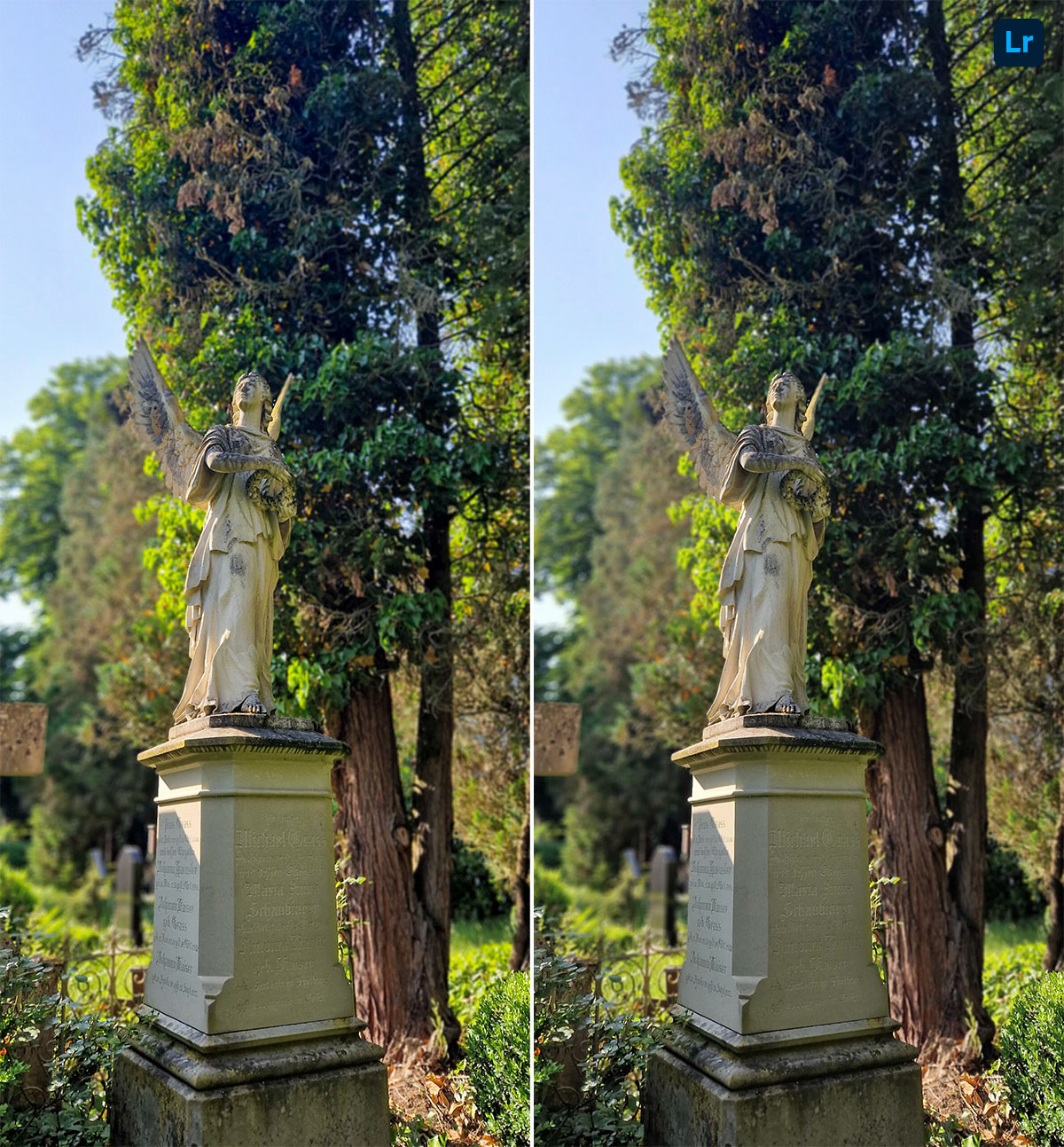 Angel | Remix | Photoshop Lightroom