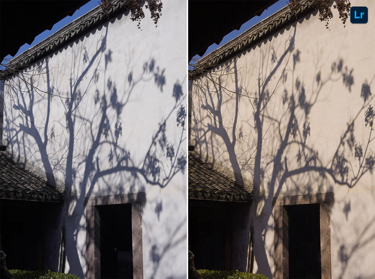 The tree shadow | Remix | Photoshop Lightroom
