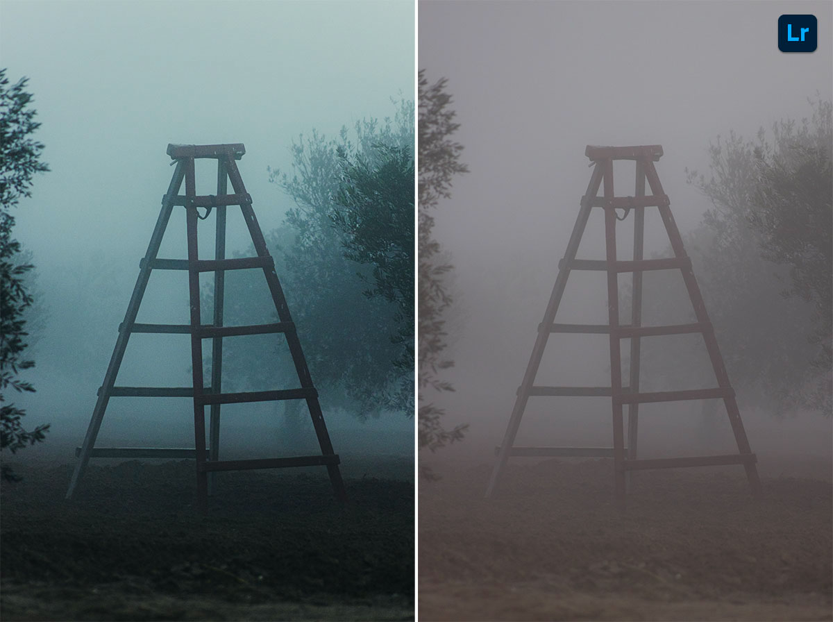 wooden ladder | Edit | Photoshop Lightroom