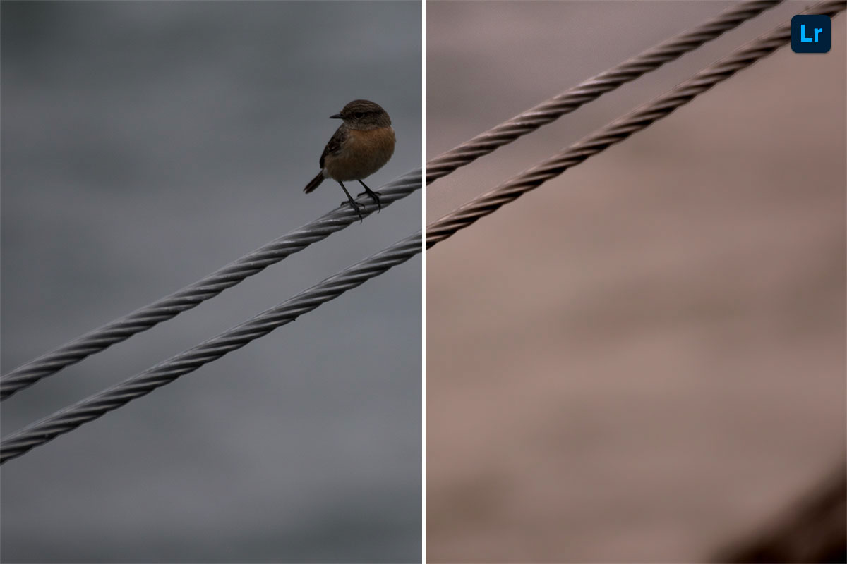 Tiny 🌟 | Remix | Photoshop Lightroom