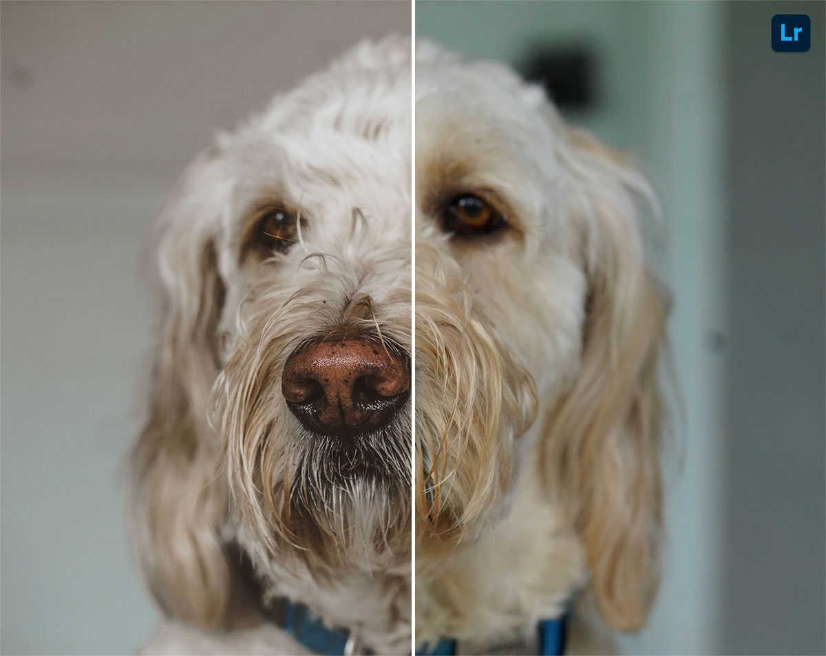 Oliver | Edit | Photoshop Lightroom