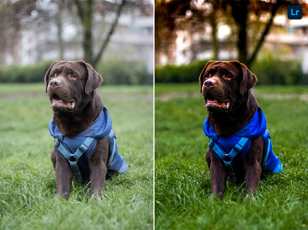 Focus | Edit | Photoshop Lightroom