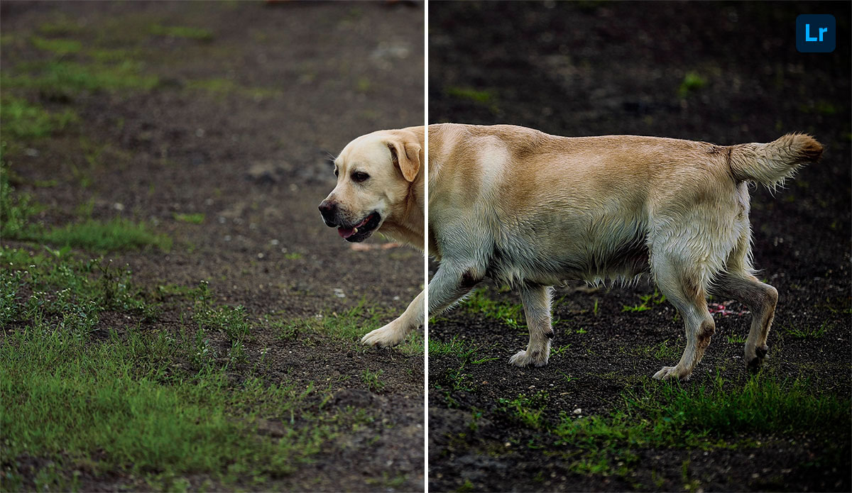 Nack | Edit | Photoshop Lightroom