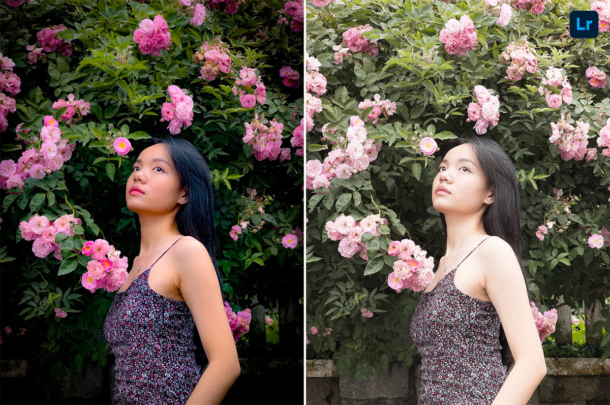 Rose | Remix | Photoshop Lightroom