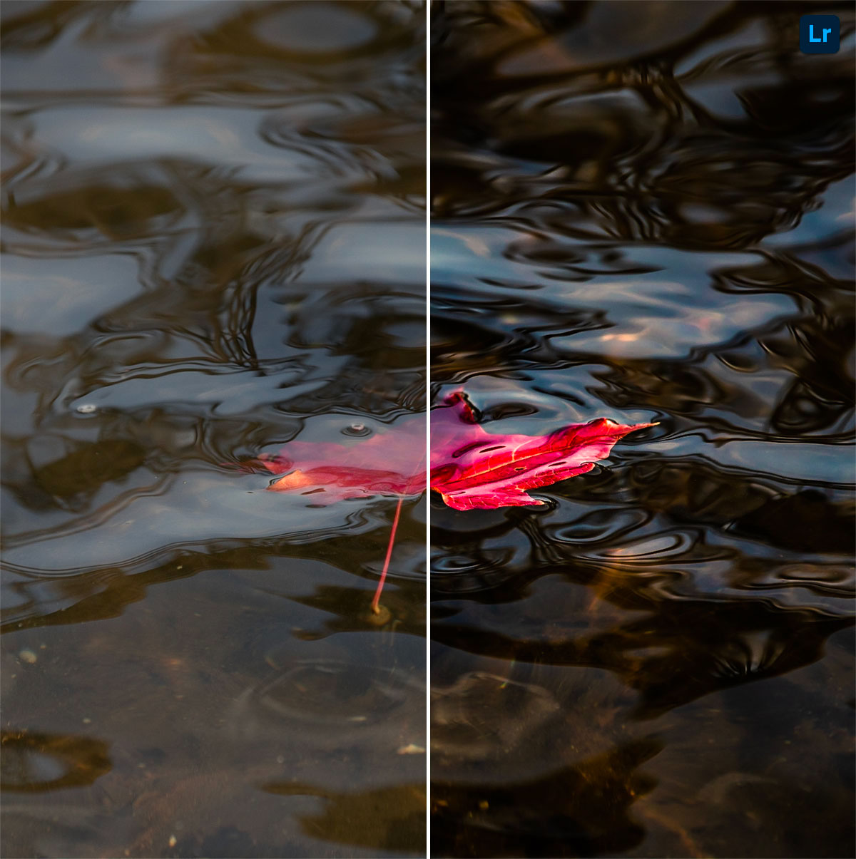Barely Afloat | Remix | Photoshop Lightroom