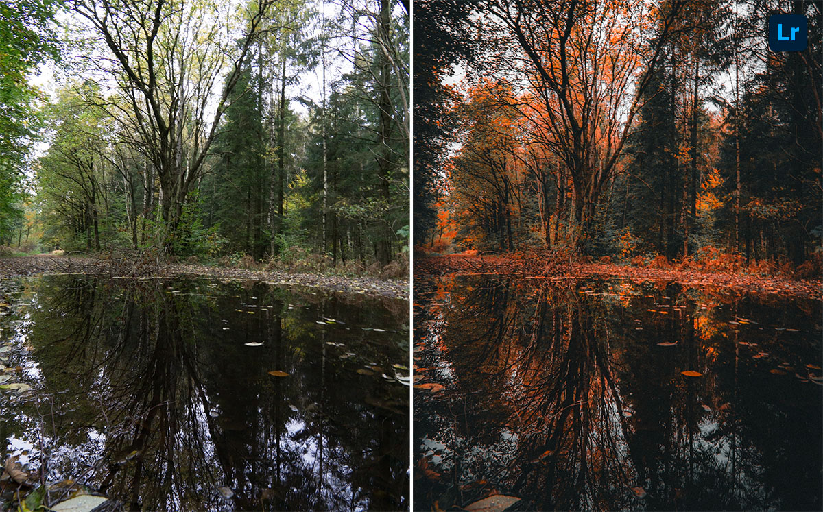 Autum in a puddle | Edit | Photoshop Lightroom