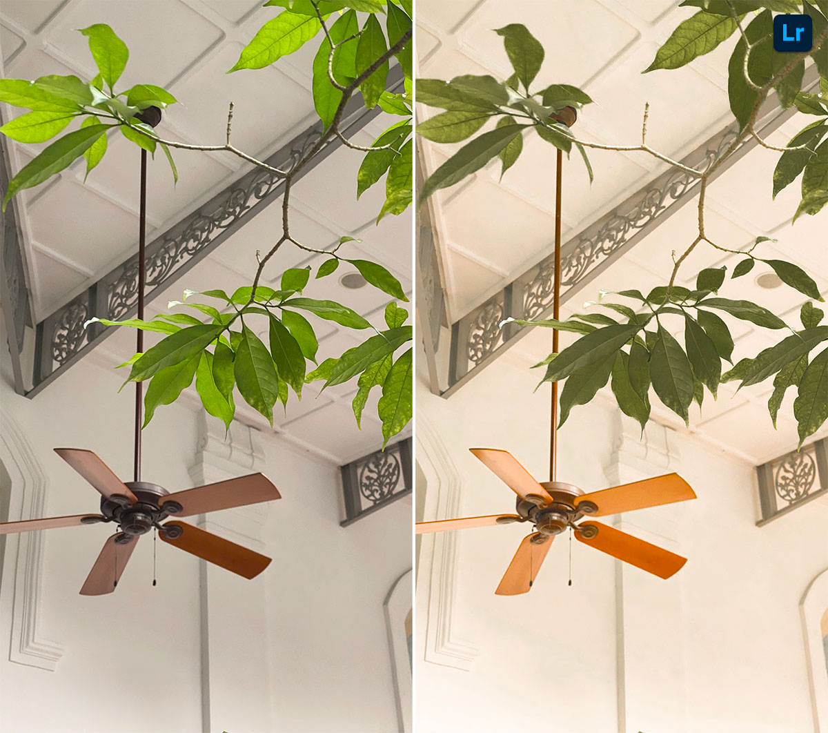 Ceiling Fan, Raffles Hotel | Edit | Photoshop Lightroom